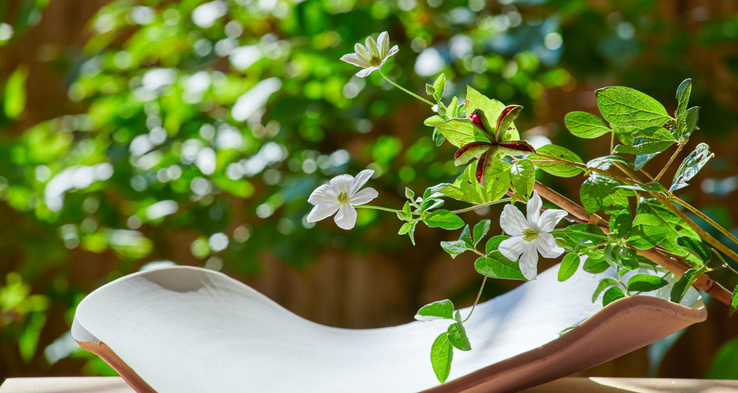 【Official】Takayamaso Hanano