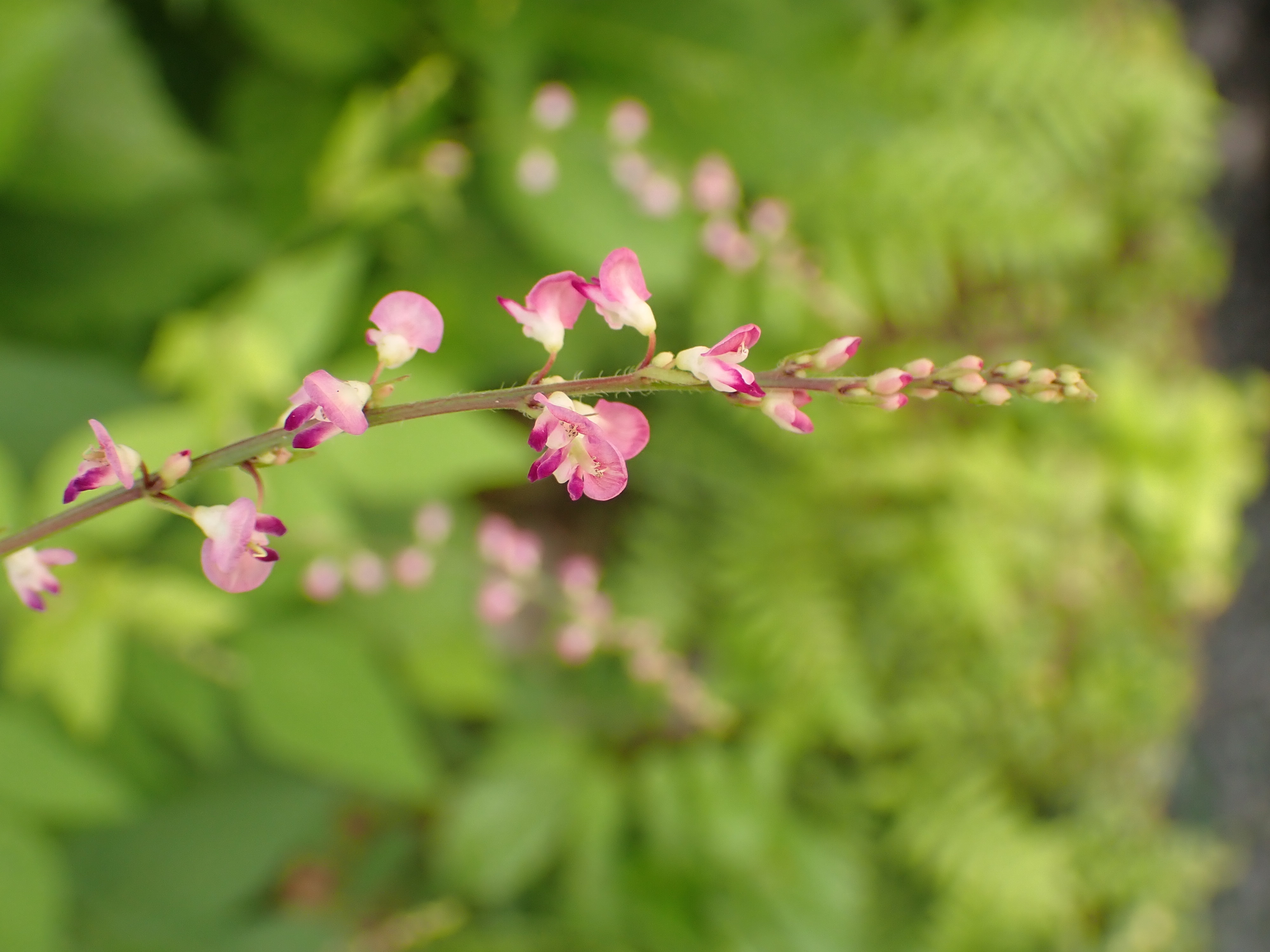 【Official】Shirabu Onsen Higashiya
