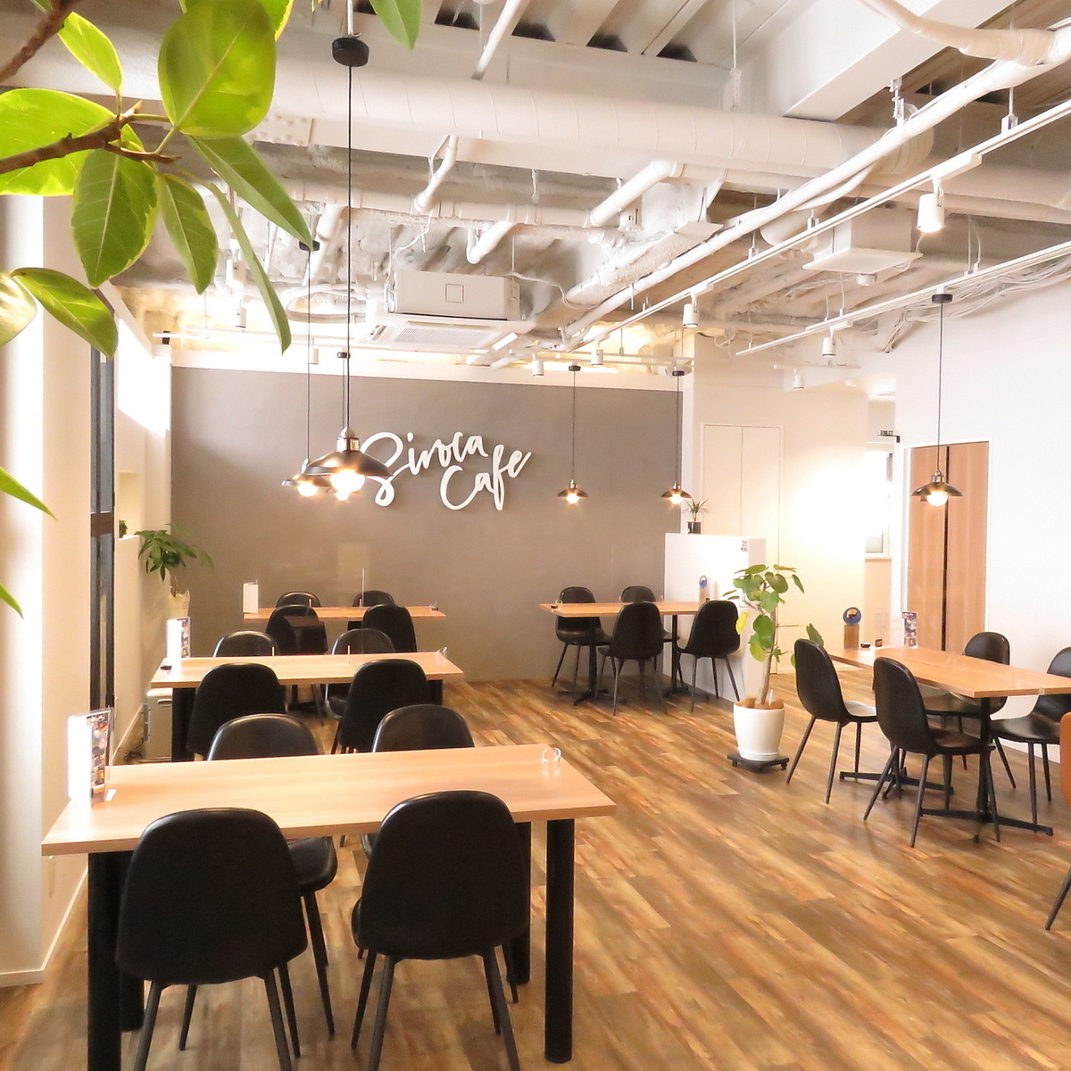 cafe restaurant siroca カフェレストラン シロカ【公式】